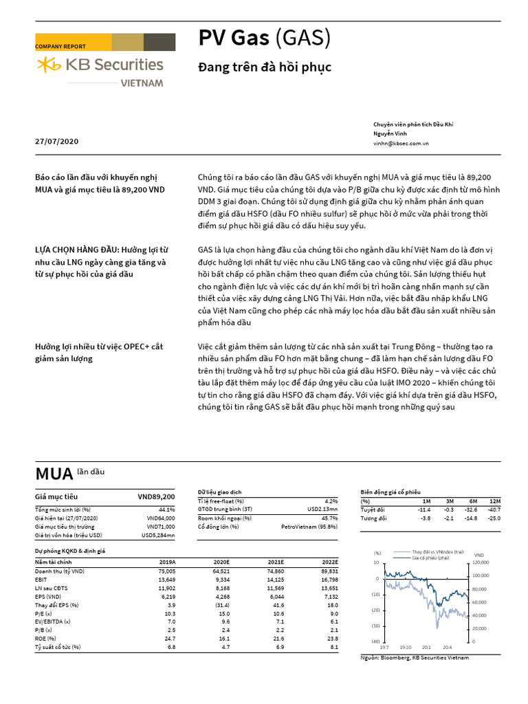 NguyenVinh Viet GAS Initiation | PDF