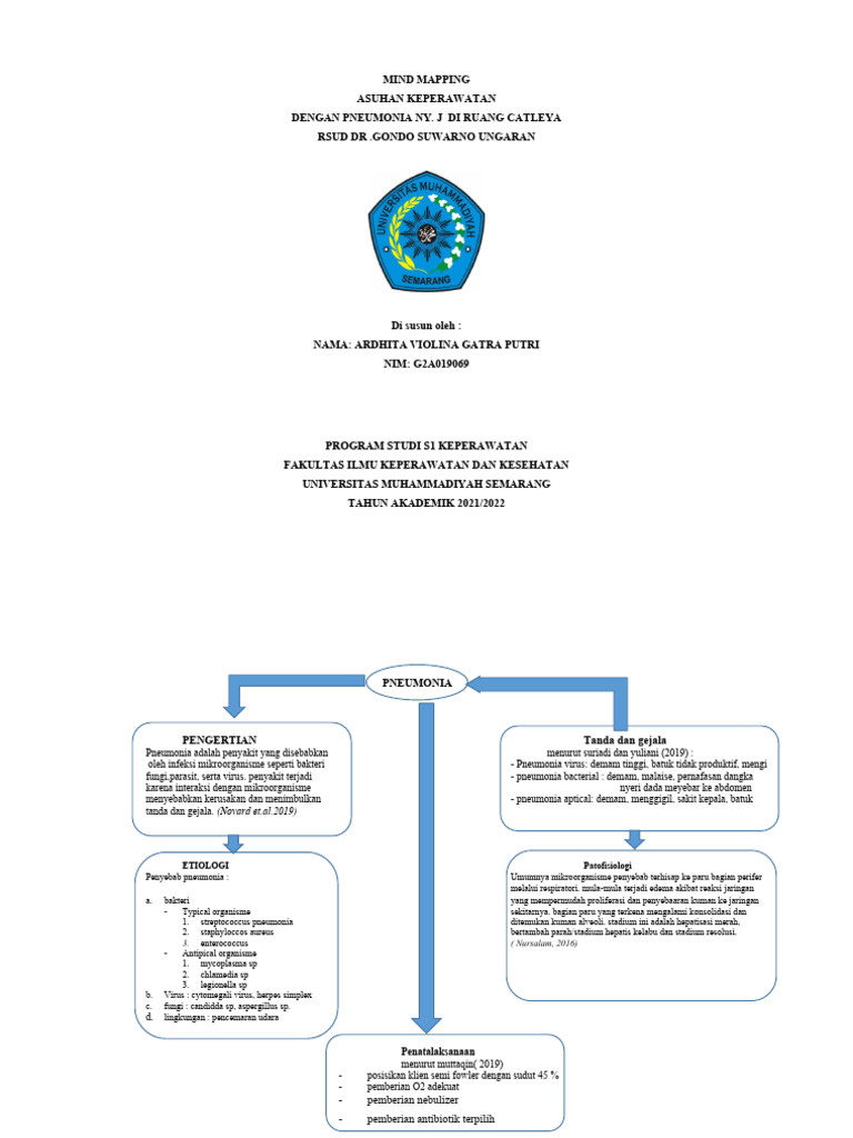 Mind Mapping Pdf