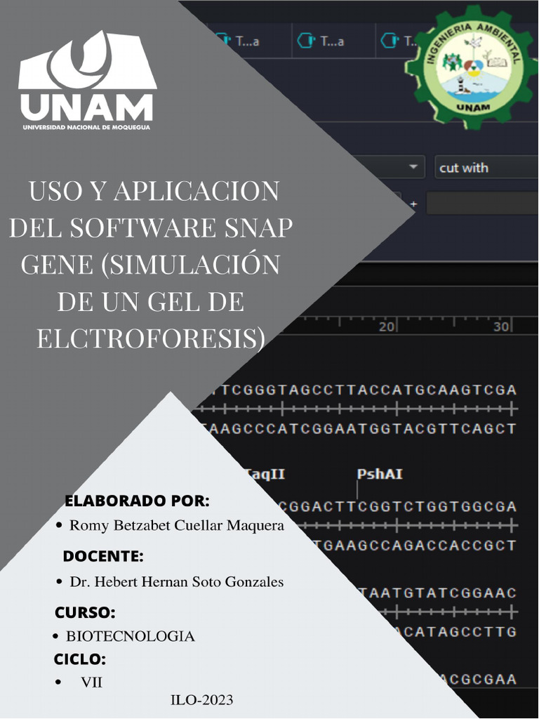 Practica N. - 05 Uso y Aplicacion Del Software Snap Gene (Simulación de ...