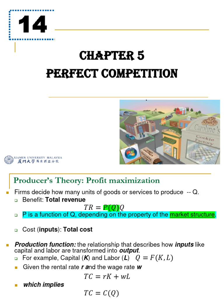 Chapter 5 Perfect Competition | PDF