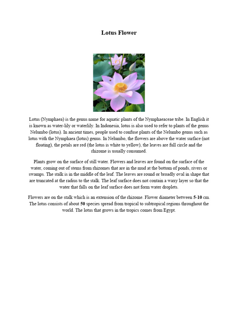 Lotus Flower | PDF