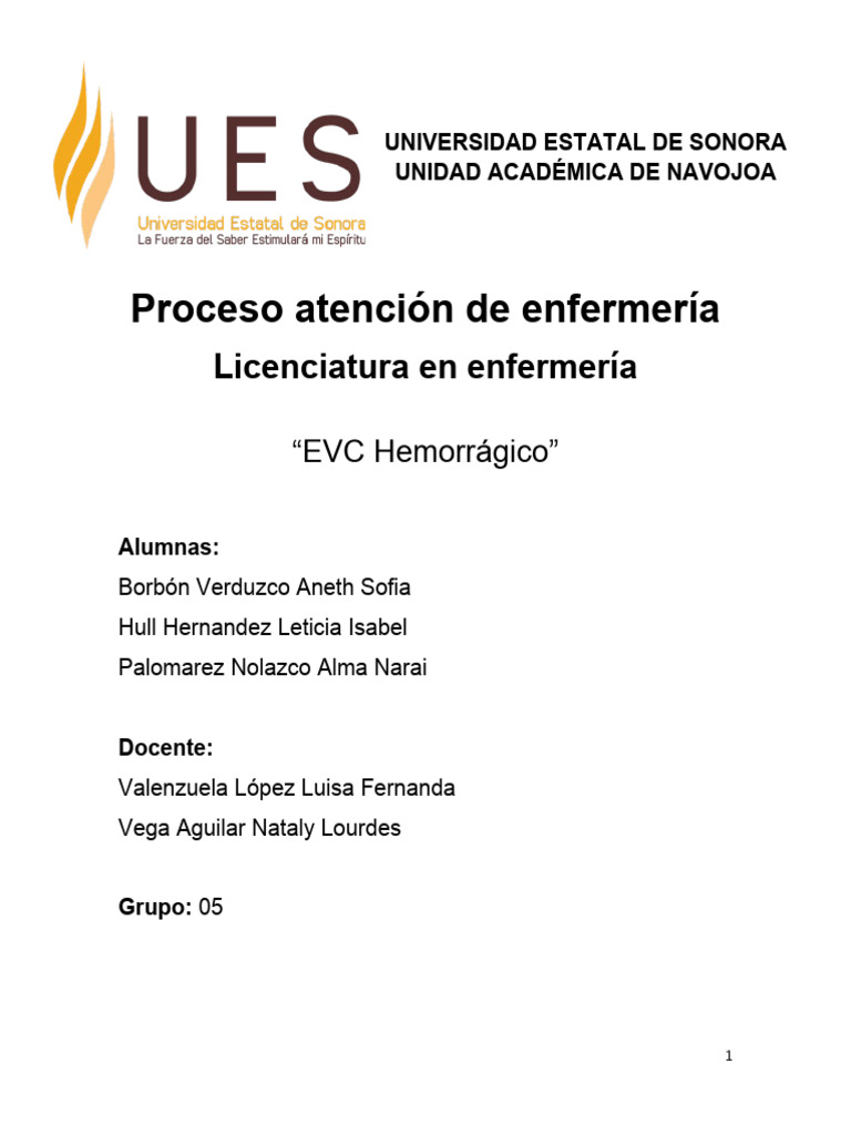 PAE ISABEL HULL EVIDENCIA | PDF | Enfermería | Carrera