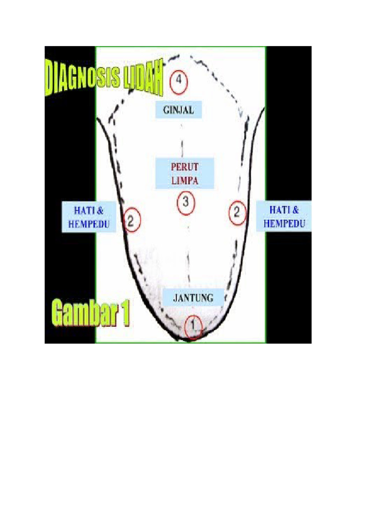 Diagnosa Lidah | PDF