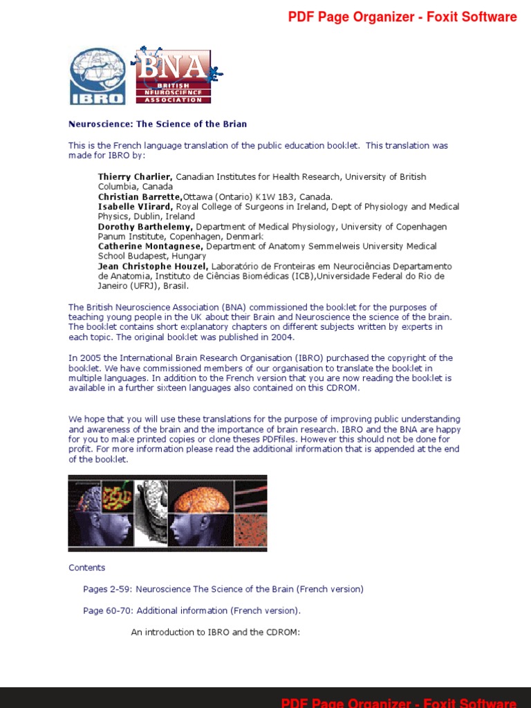 Neuroscience: Science of The Brain in French | PDF | Synapse | Axon