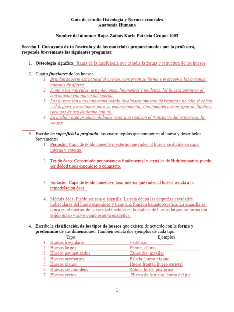 2020 Guía de estudio Osteol^J esqueleto y normas (contestada) | PDF ...