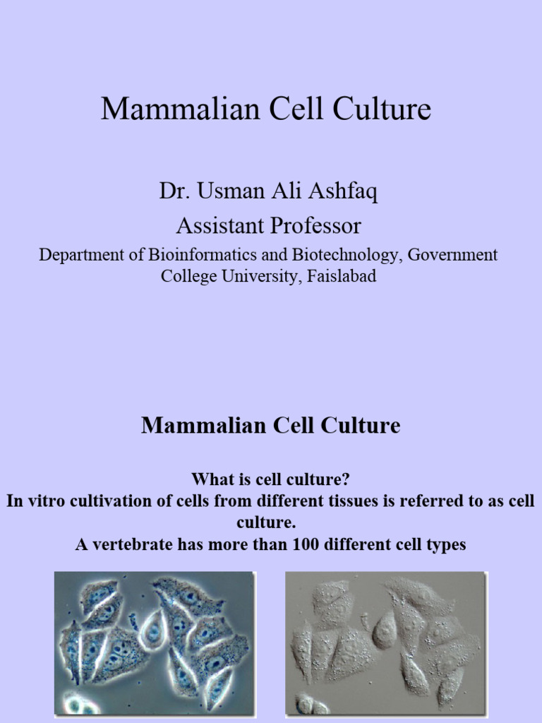 2 Mammalian Cell Culture Pdf Cell Culture Cellular Differentiation