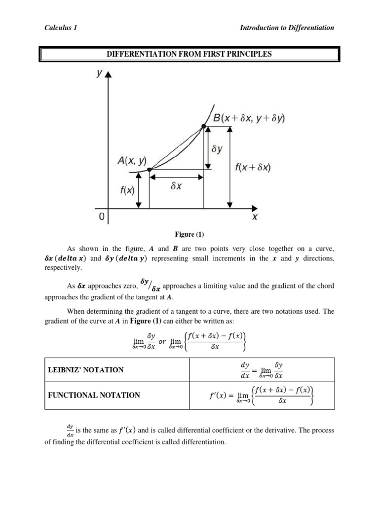Intro to Differentiation Basics | PDF