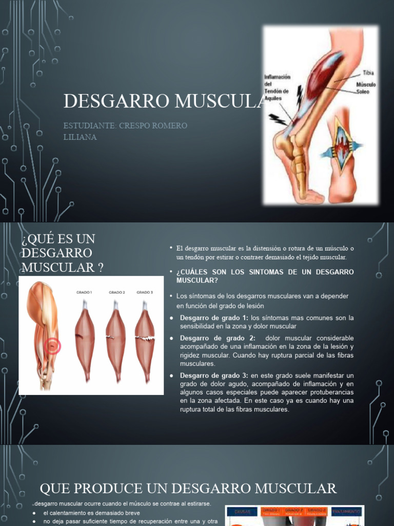 Desgarro Muscular | PDF | Músculo esquelético | Contracción muscular
