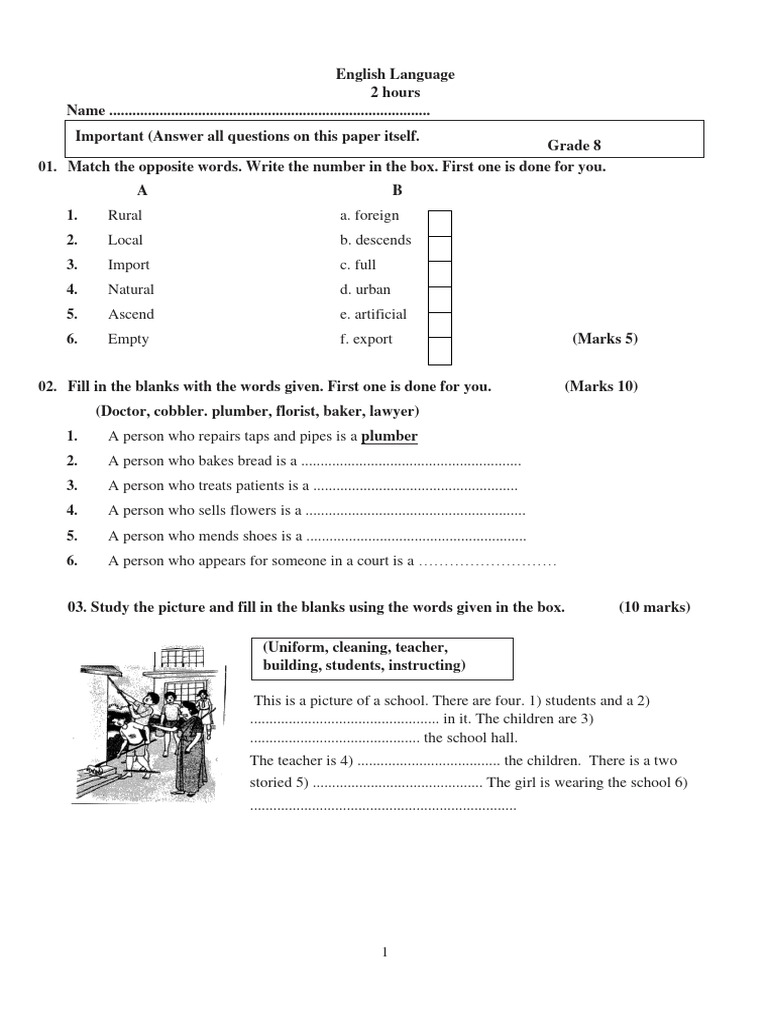 Grade 8 English Language Exam | PDF | Plural | Linguistics