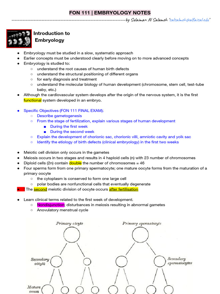 Embryology Lecture's Note | PDF | Sperm | Fertilisation