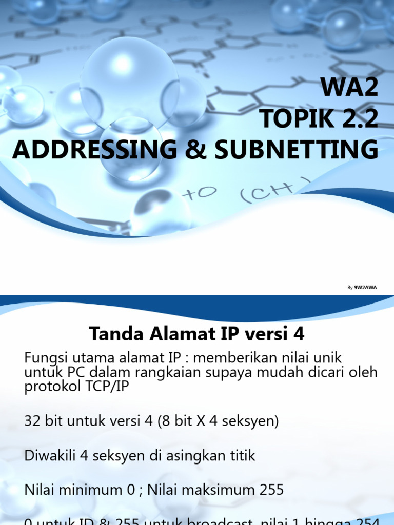 2 Addressing And Subnetting Pdf