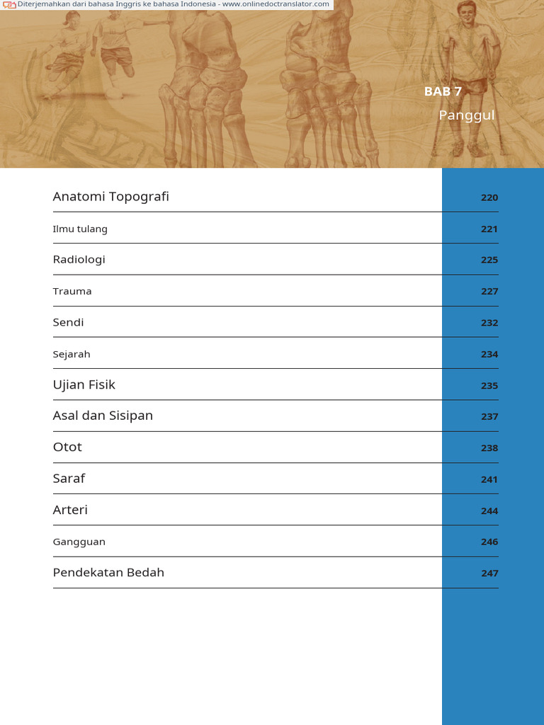 Anatomi Orto 6 | PDF