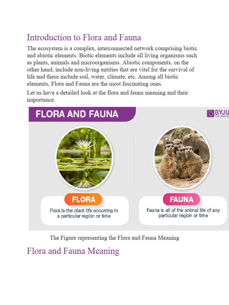 Understanding Flora and Fauna | PDF | Himalayas | Ecosystem