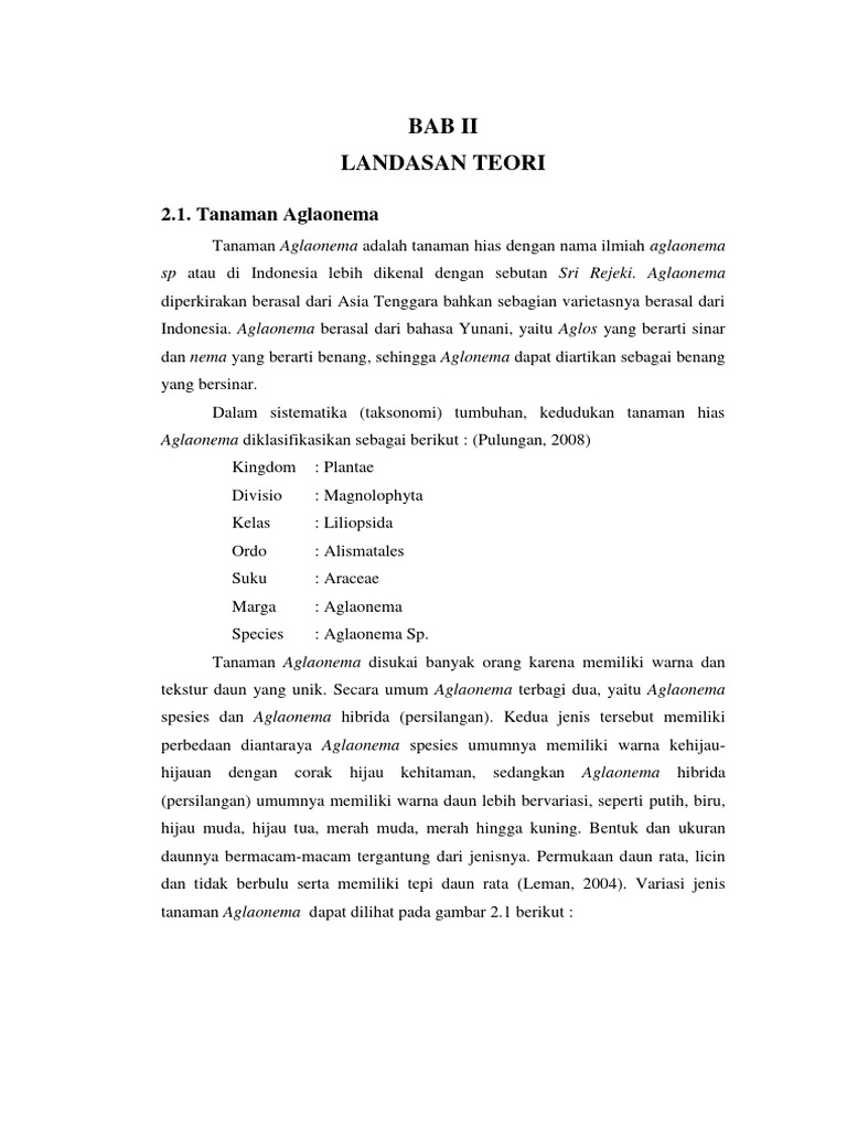 Bab II Landasan Teori | PDF