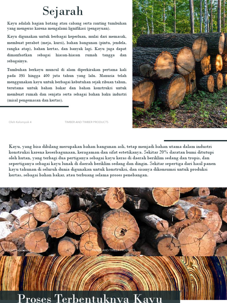 Kelompok 4 - KAYU | PDF
