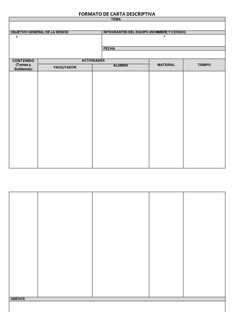 Formato Carta Descriptiva | PDF