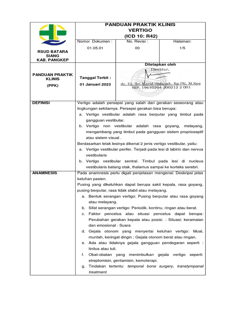PPK Vertigo Rsud Batara Siang | PDF