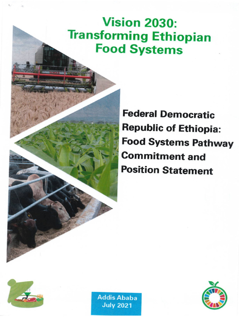 ETH Food Systems Vision 15072021 | PDF