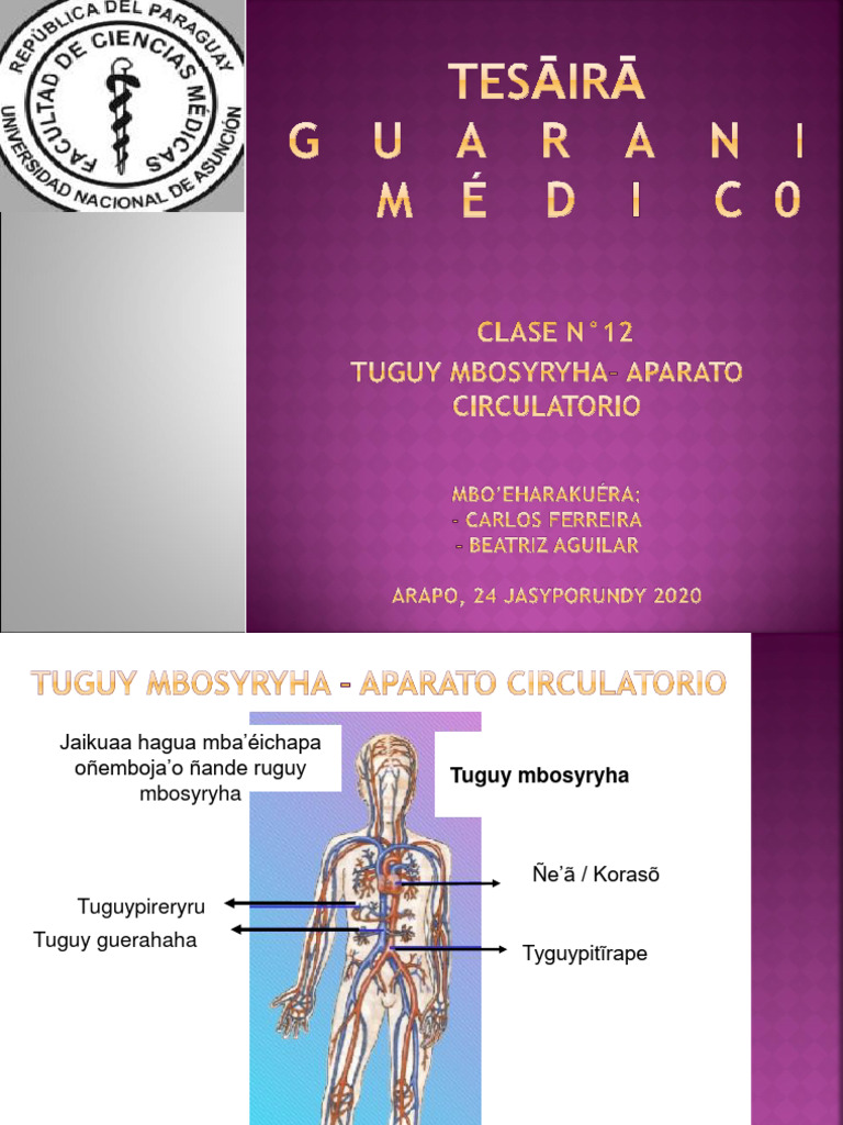 Guarani Médico 12 Tuguy Mbosyryha - Aparato Circulatorio - Una 2020 | PDF