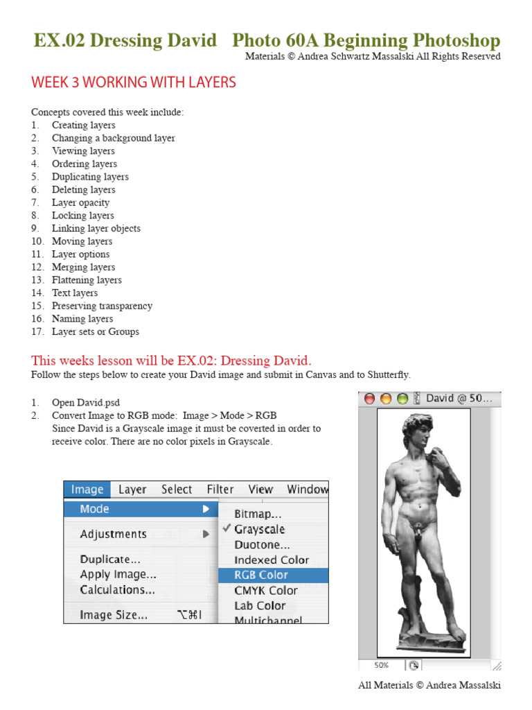 60A EX02 David | Download Free PDF | Image Processing | Vision
