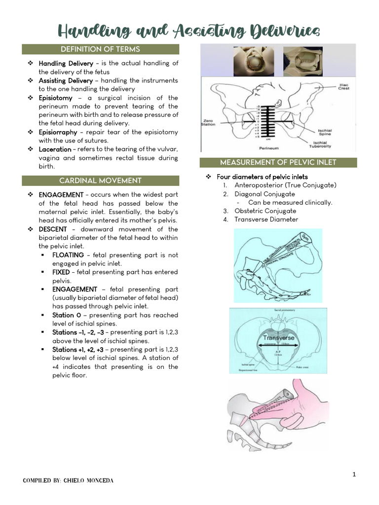 Delivery Assistance and Handling Guide | PDF | Childbirth | Pelvis