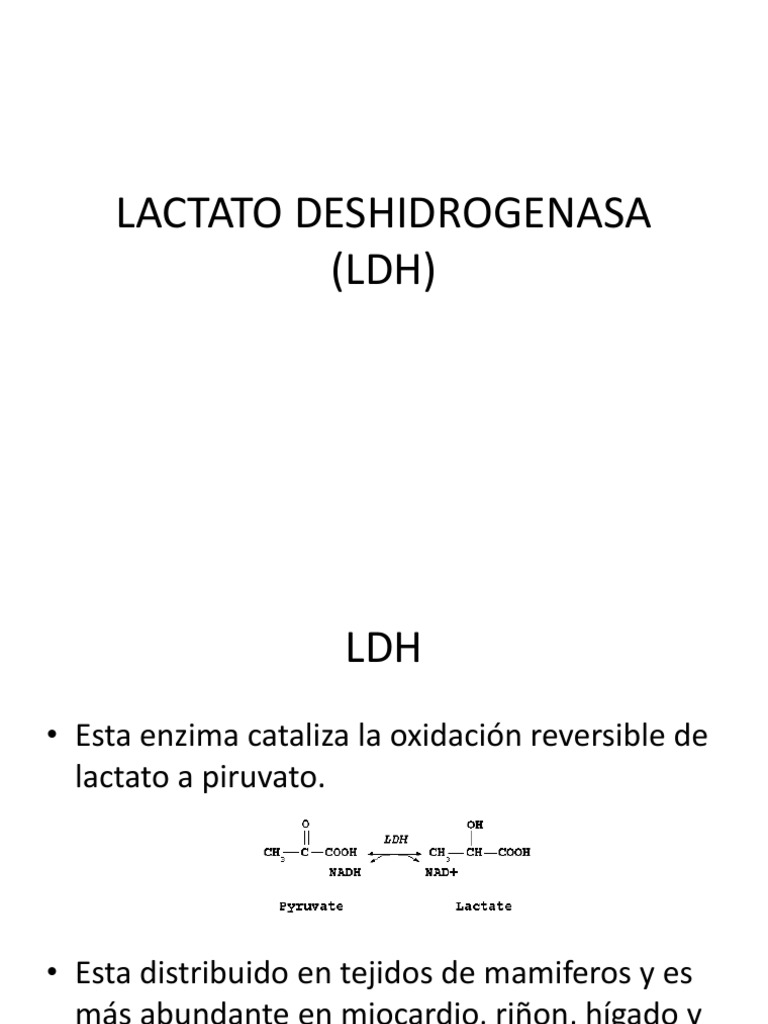 LACTATO DESHIDROGENASA (LDH)