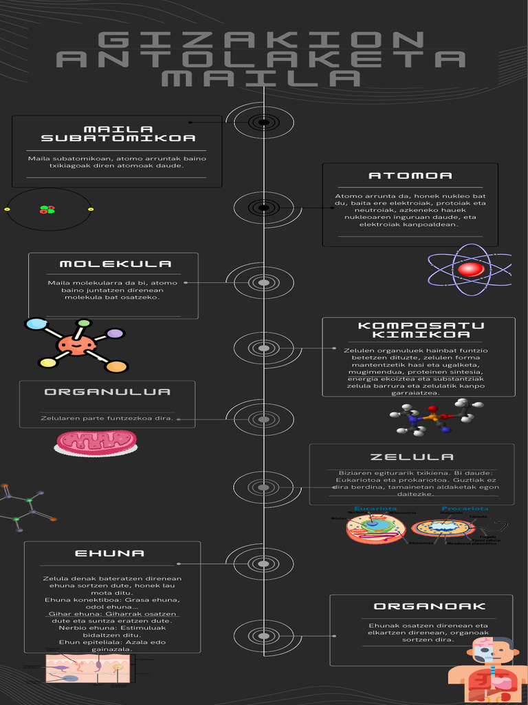 Bio Geo 6 7.jarduera | PDF