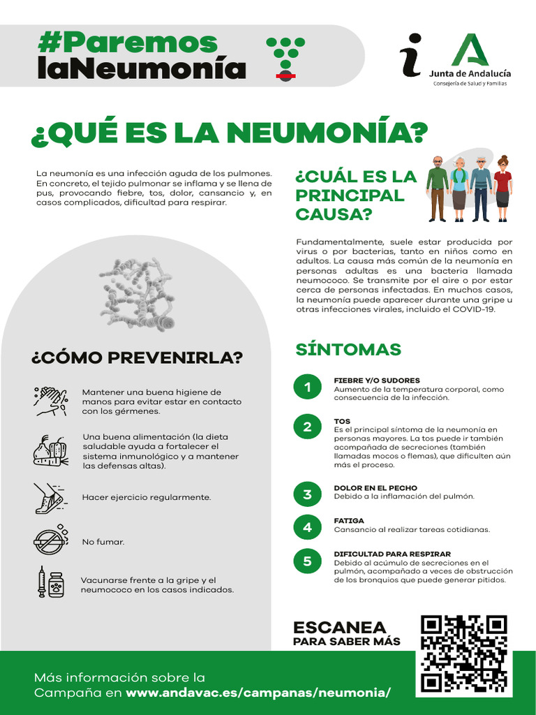 Infografia Neumonia Neumococo | PDF
