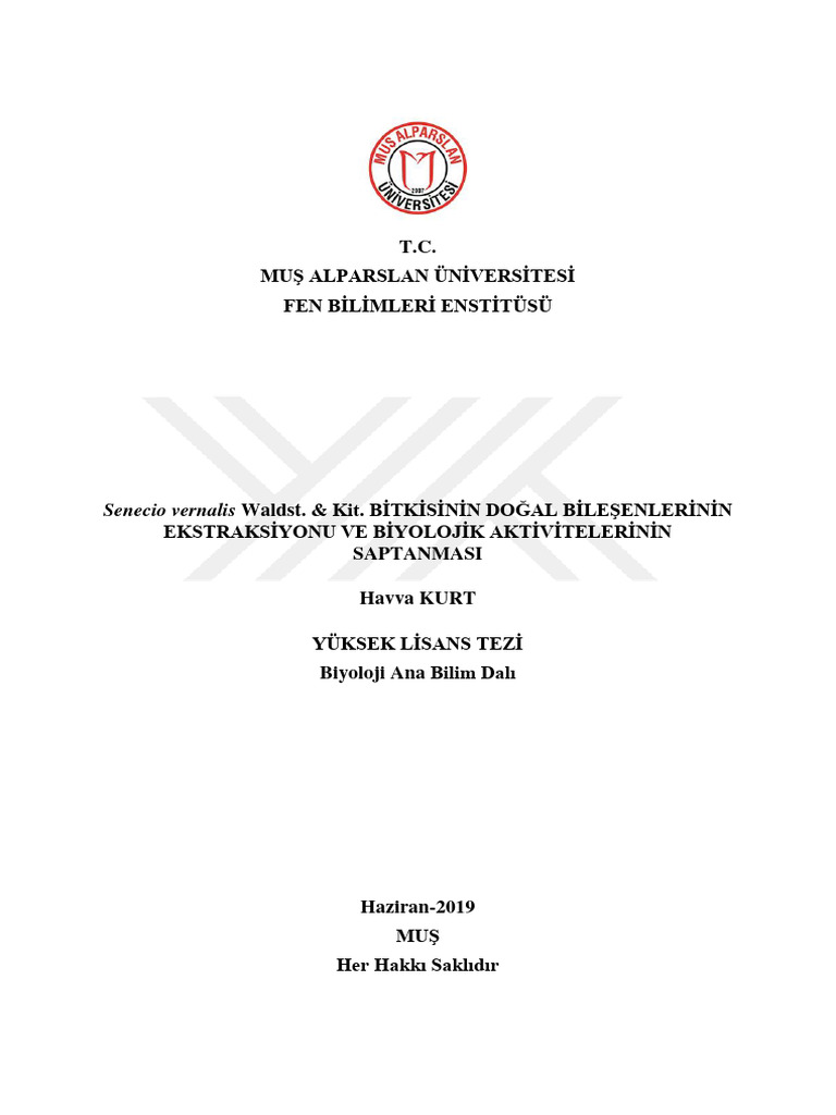 Sedat Hoca Örnek Tez | PDF