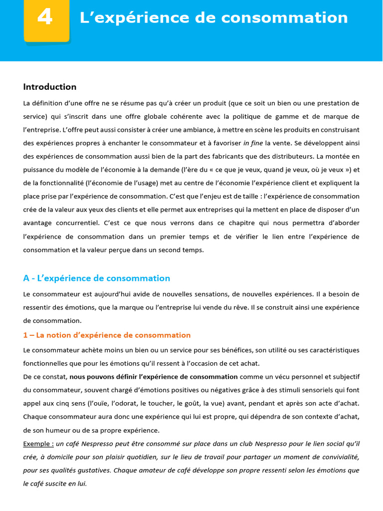 Experience de Consommation | PDF
