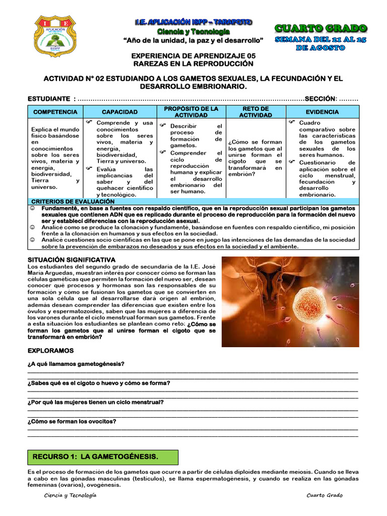 Actividad 2 - Ciencia y Tecnología - Cuarto Grado - Eda V | PDF