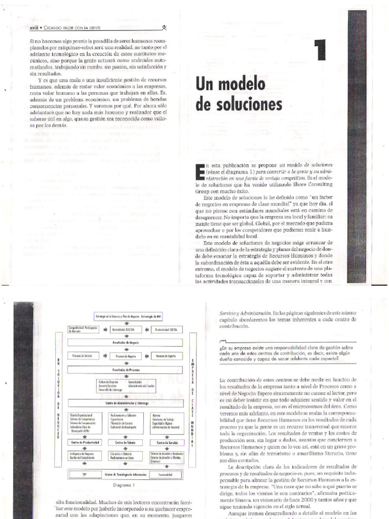 Modelo de Soluciones | PDF