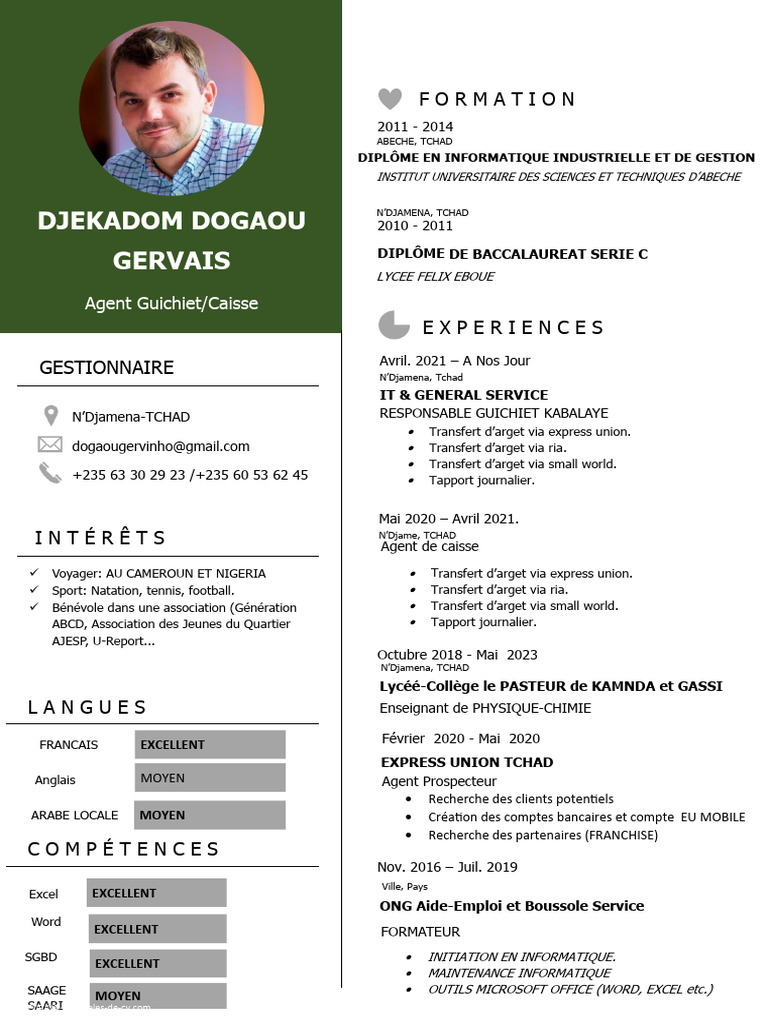 CV Gestionnaire | PDF