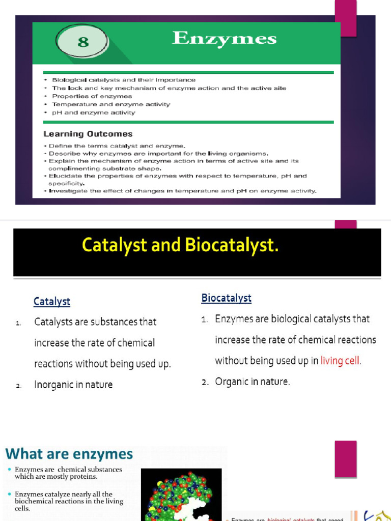 Unit 8 Enzymes | PDF