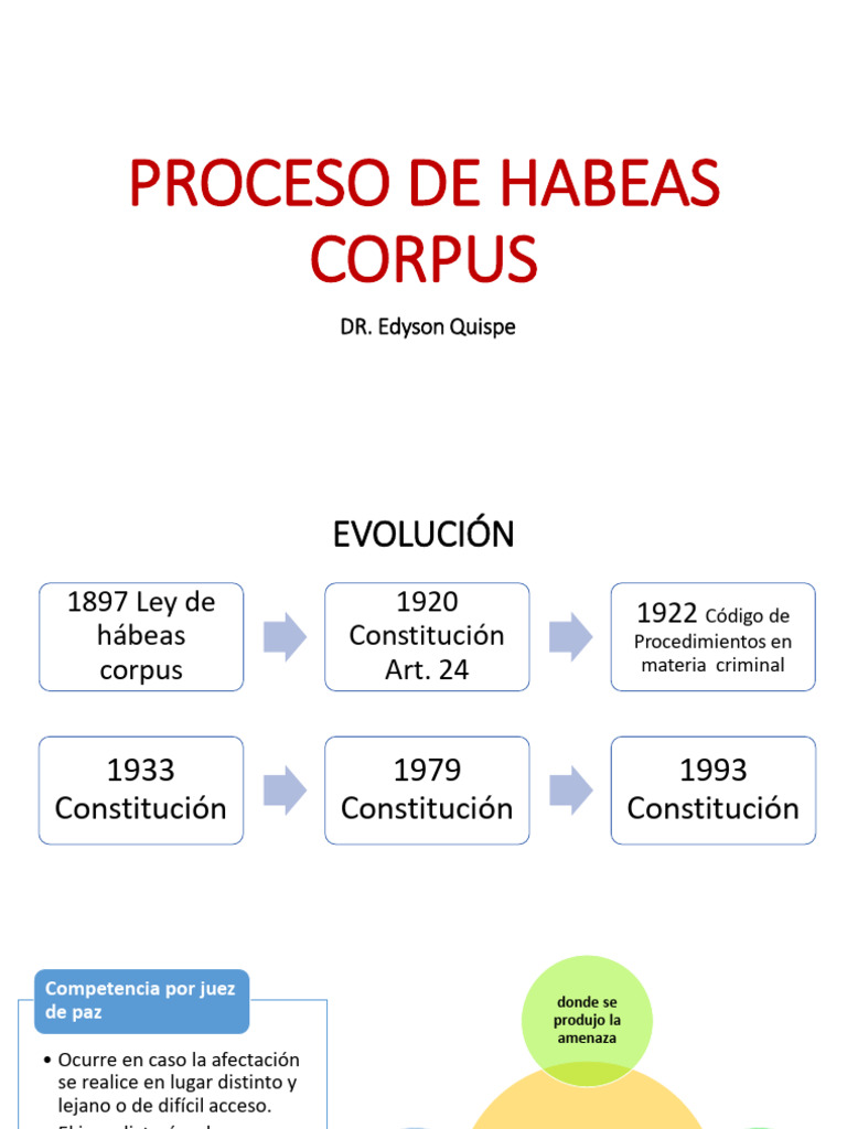 Proceso de Habeas Corpus DR Edyson Quispe | PDF | Habeas corpus ...