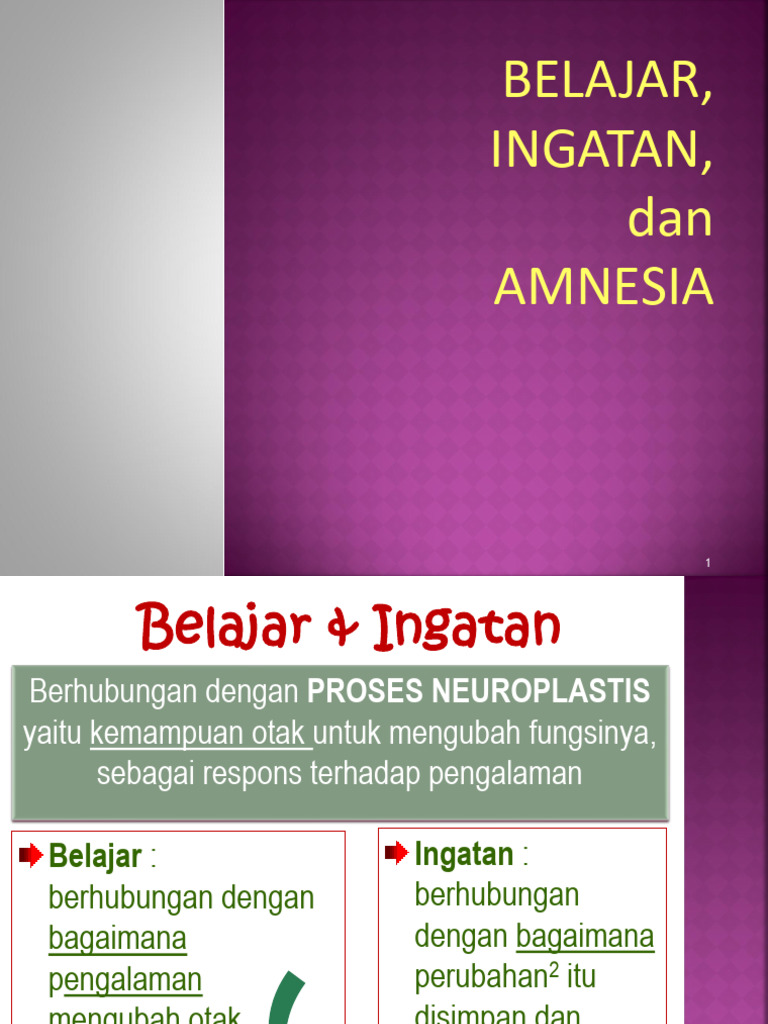 Belajar, Ingatan, Amnesia | PDF