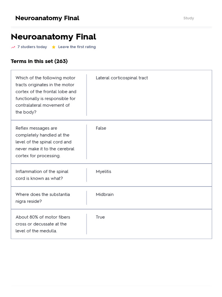 Neuroanatomy Final Flashcards - Quizlet | PDF | Cerebral Cortex | Striatum