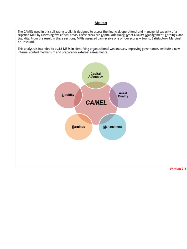 CAMEL Rating Toolkit 7.4 | PDF | Investing | Debt