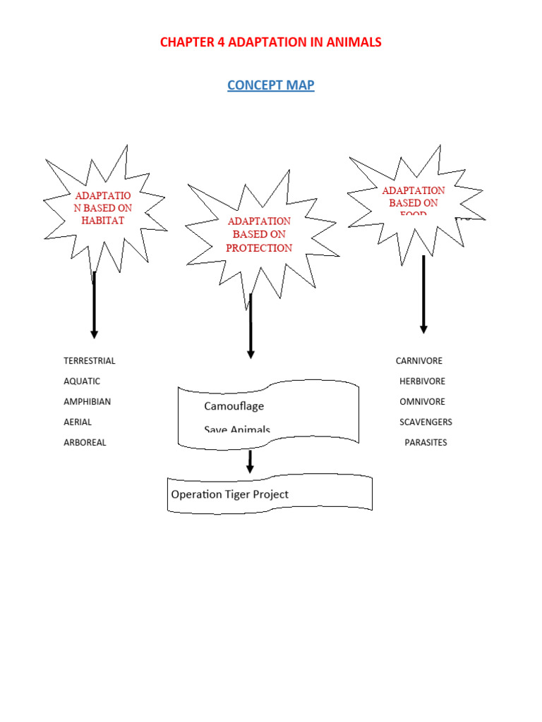 Chapter 4 Adaptations in Animals | PDF