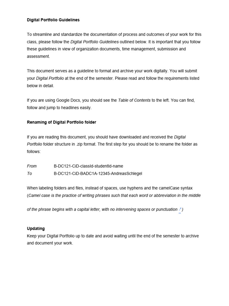 Digital Portfolio Setup Guide | PDF | Computer File | Zip (File Format)