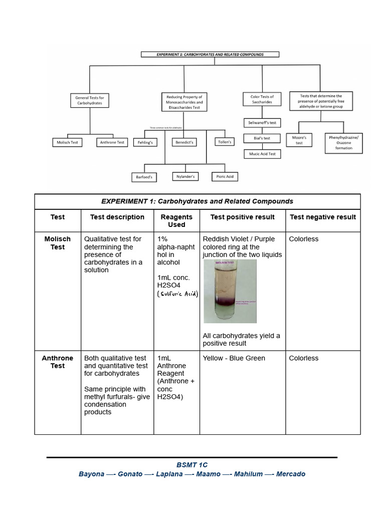 Biochem Moving Exam Reviewer 2 | PDF | Carbohydrates | Glucose