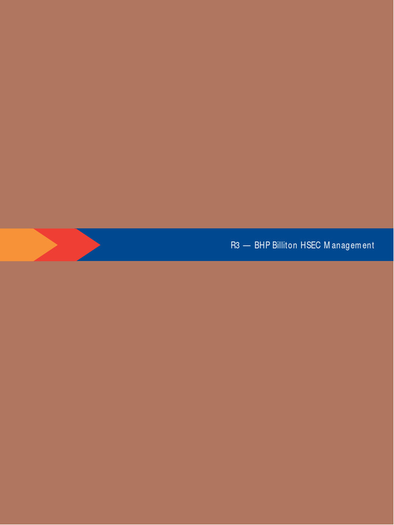 BHP Billiton | PDF | Risk | Risk Management