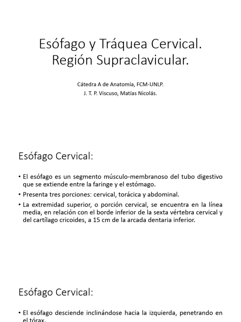 Esofago y Traquea Cervical | PDF