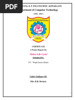 Understanding Deferred Defects in Testing | PDF | Software Bug ...