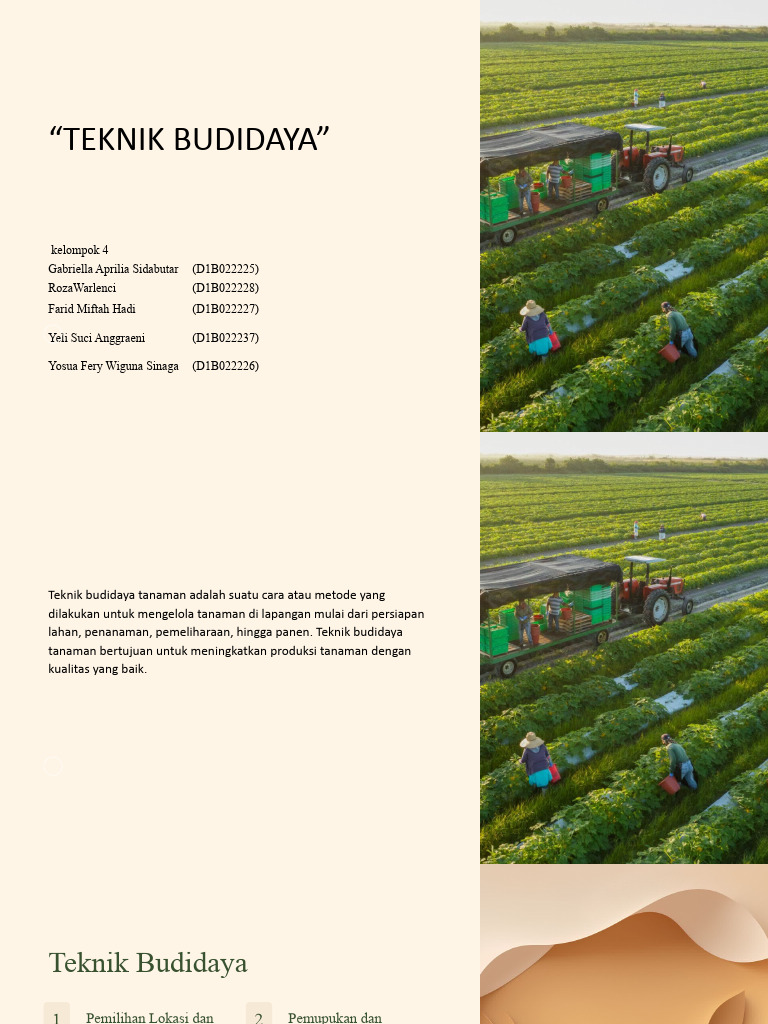 Makalah Budidaya Tanaman Agronomi Kel 4 | PDF