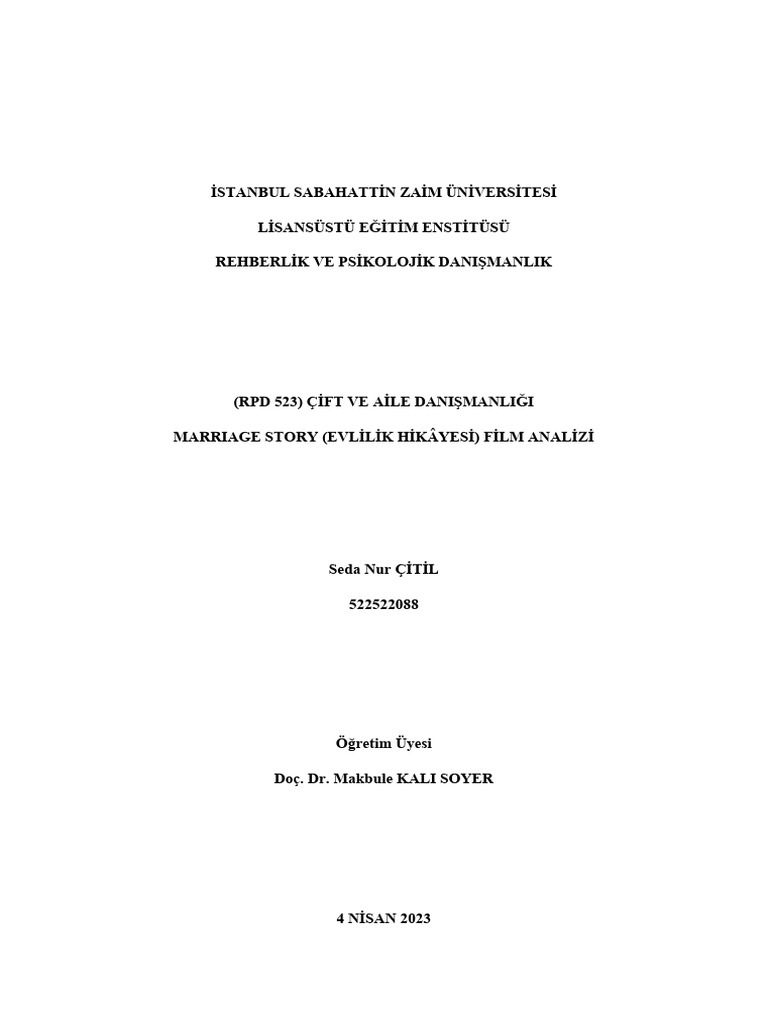 Seda Nur Çitil - RPD 523 - Film Analizi | PDF