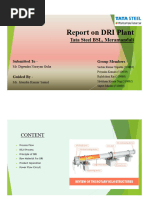 DRI Process | PDF