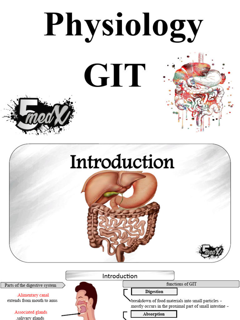 Physiology GIT 2 | PDF | Gastrointestinal Tract | Human Digestive System