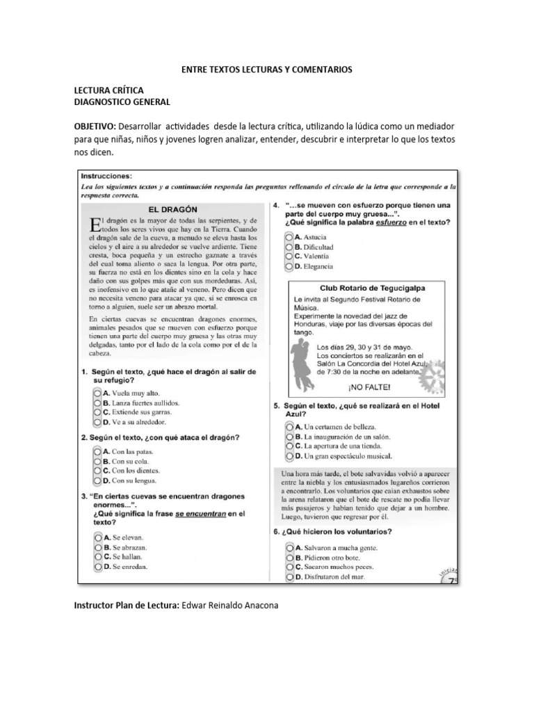 Prueba Diagnostica en Lectura y Escritura - Grado Septimo | PDF