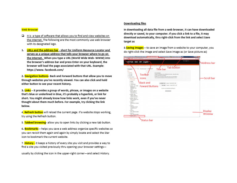 Handouts Web Browser | PDF